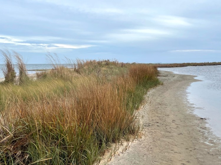 Tangier Island, Virginia – Official government website of Tangier, Virginia