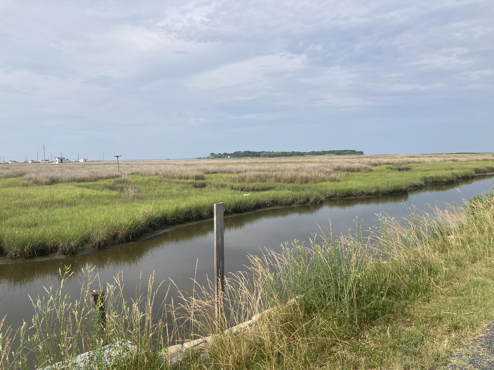 Nature in Tangier, Virginia – Tangier Island, Virginia