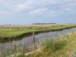 Nature in Tangier, Virginia – Tangier Island, Virginia
