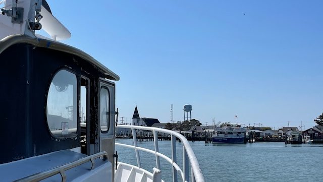 Why Tangier Island is Worth the Visit: A Personal Journey – Tangier ...